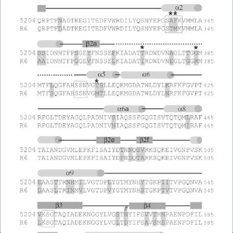 Sequence Alignment And Secondary Structure Elements Of The