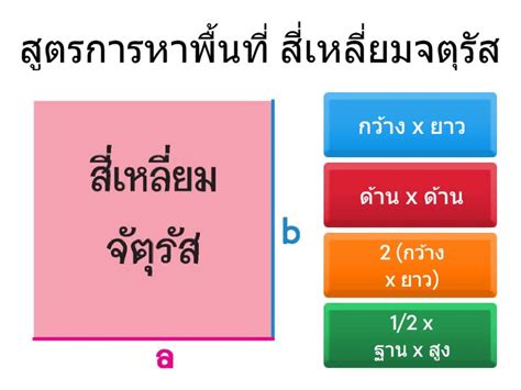 1 การหาพื้นที่ สี่เหลี่ยมจัตุรัส สีเหลี่ยมผืนผ้า สามเหลี่ยม
