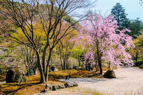 宇治三室戸寺のアクセス拝観料見どころ混雑などの観光情報 京都のいろは
