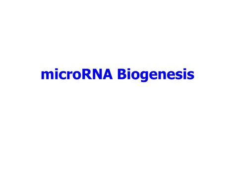 Ppt Micrornas Small Non Coding Rnas With Big Impact In Biology