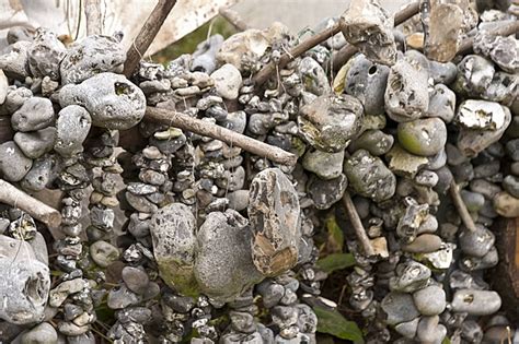 Pebbles Flintstone Background Images Hd Pictures And Wallpaper For