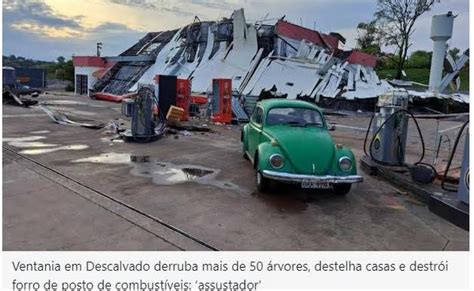 Descalvado Ventania Forte Derruba Mais De 50 árvores Destelha Casas E