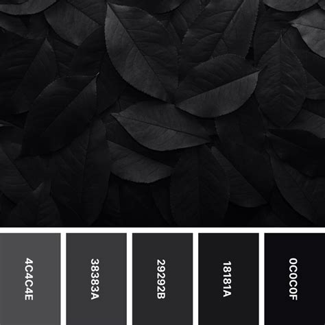 Black Color Palette