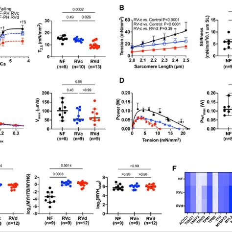 Unsupervised Machine Learning Identifies 2 Subgroups Of Cardiomyocyte