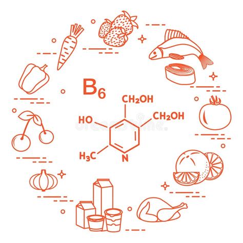 Foods Rich In Vitamin B6 Stock Vector Illustration Of Mineral 121155343