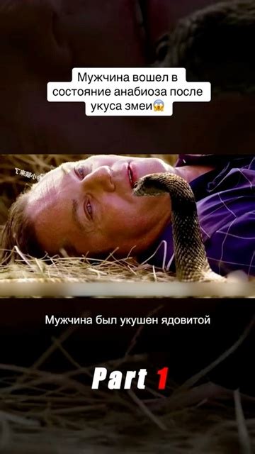 Клипы Как называется фильм