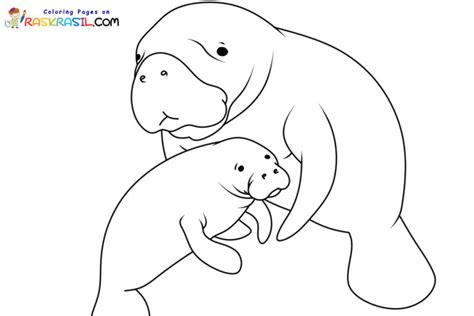 Dibujos De Manatí Para Colorear