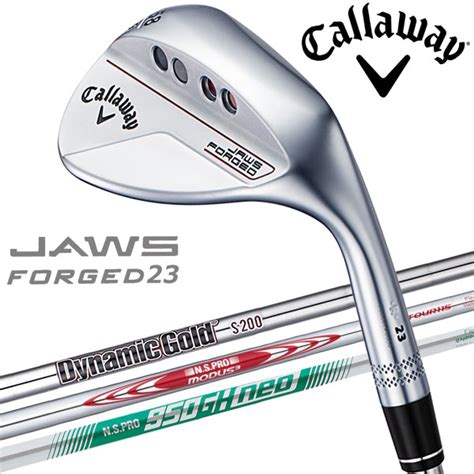 Titleist Titleist Vokey（spin Milled）sm10 ウェッジ Dynamic Gold （46°10°f