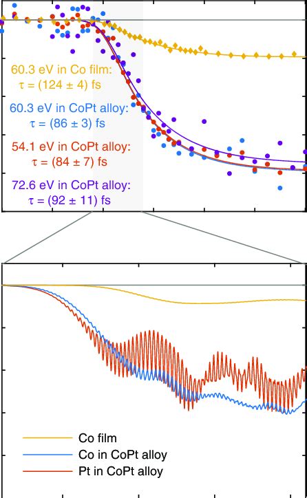 Ultrafast Demagnetization After Optical Excitation A Measured Relative