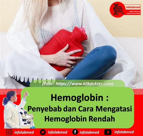 Hemoglobin Penyebab Dan Cara Mengatasi Hemoglobin Rendah