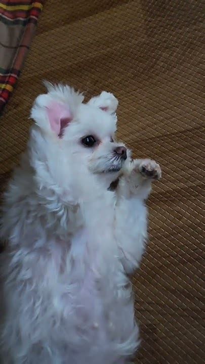 손이 고장 나떵ㅎㅎ휴~~~🫡 Youtube