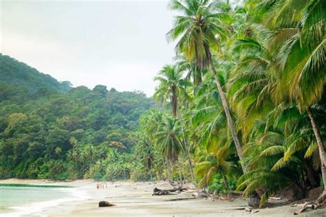 10 Destinos Para Hacer Viajes En Pareja En Colombia Travellovers