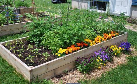 Blogues Â Pr parer le Sol Du Potager En 4 tapes Par BG Â Ma Planète