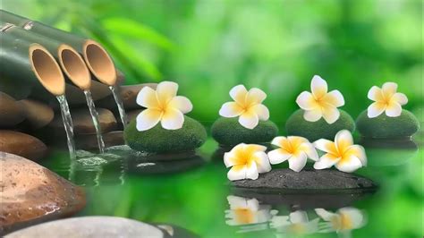 Spa Music 247 Stress Relief Music Relaxation Music Massage Music
