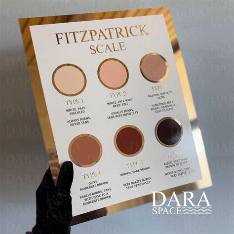 Skin Anatomy And Fitzpatrick Scale Set Of 2 Gold Mirror Plastic Signs