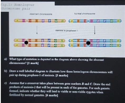 [solved] answer parts a b c course hero