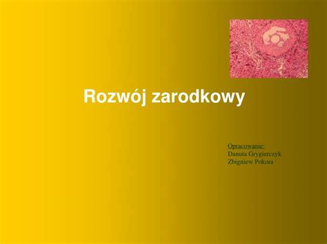 PPT Rozwój zarodkowy PowerPoint Presentation free download ID