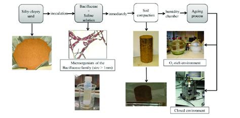 Sample Preparation Following Protocol B Download Scientific Diagram