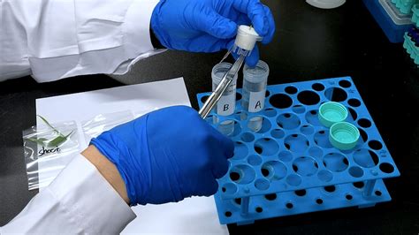 Video Investigating Long Distance Transport Of Perfluoroalkyl Acids In