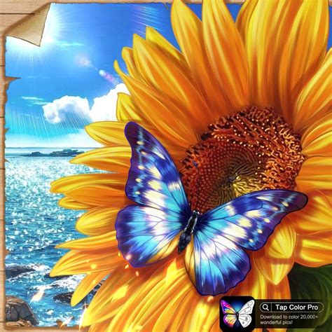 Color By Numbers Facebook Cover Photos Screen Savers Beautiful Paintings Health And