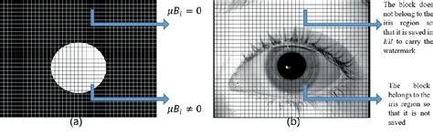 Figure 1 From Multi Biometric Watermarking Scheme Based On Interactive