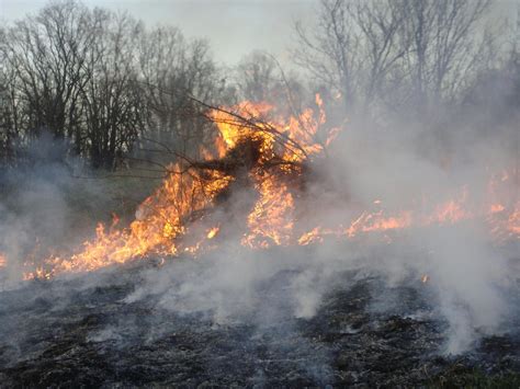 459 Incendios Y Más De 1800 Hectáreas Afectadas Expertos Llaman A