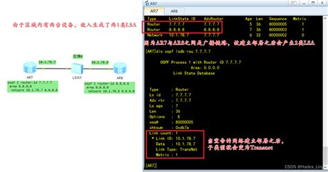 路由 ospf lsa介绍、1~7类lsa详细介绍 ospf lsa类型详解 csdn博客