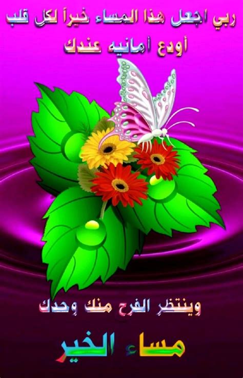مساء الخير والسعادة وراحة البال لكل من يزرعون الخير في ڪل طريق