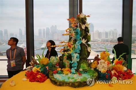 China Shanghai Cooperation Organization Summit 네이트 뉴스