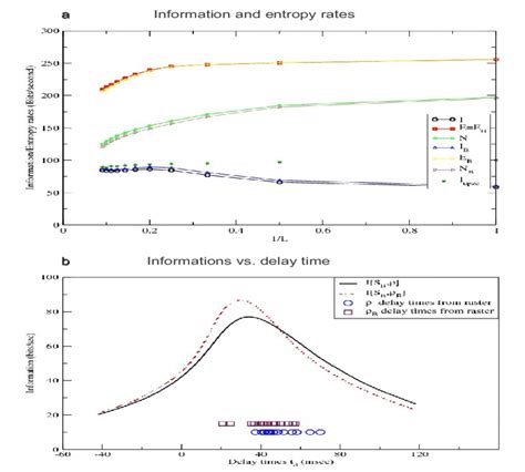 Information And Entropy Rates A Information And Entropy Rates Vs Download Scientific Diagram