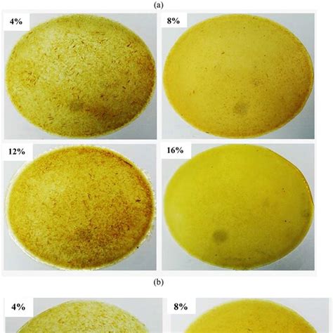 Composite Films For The 4 8 12 And 16 Alkali Treated Cellulose Of A
