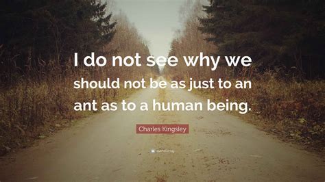Charles Kingsley Quote “i Do Not See Why We Should Not Be As Just To