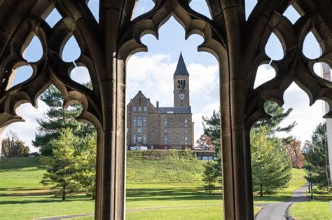 Cornell Freshman Class Size Admissionsight
