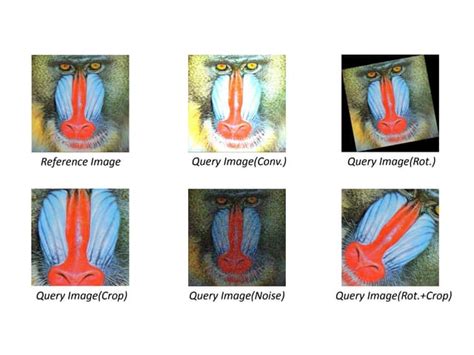 sparse representation in image and video copy detection ppt