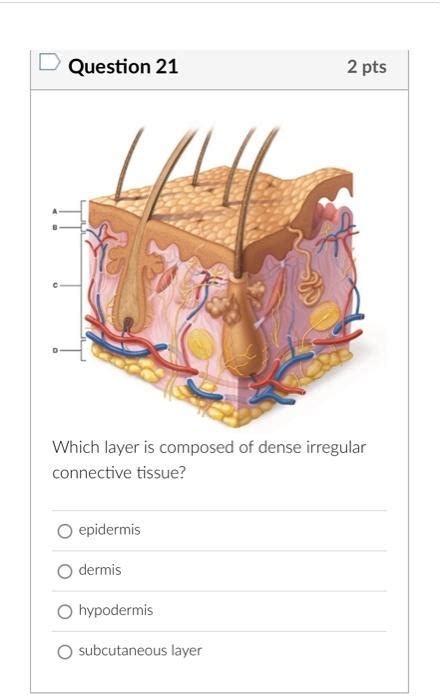 Solved All The Following Are Functions Of The Skin Excep