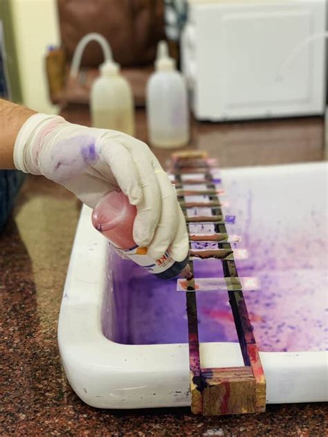 Isolation Of Bacteria Easy Procedure Chemistry Notes