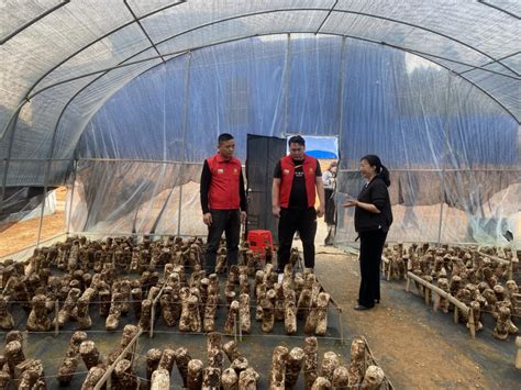 【枫湾镇聚焦“百县千镇万村高质量发展工程”】强化“党建”模式，赋能高质量发展韶关发布