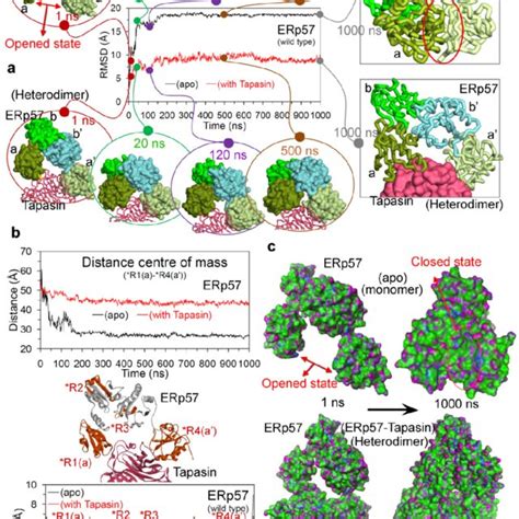 Structures Of The Peptide Loading Complex Plc Components And