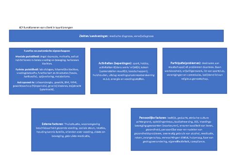 Icf Schema Functies Activiteiten En Participatie Van Client Studeersnel