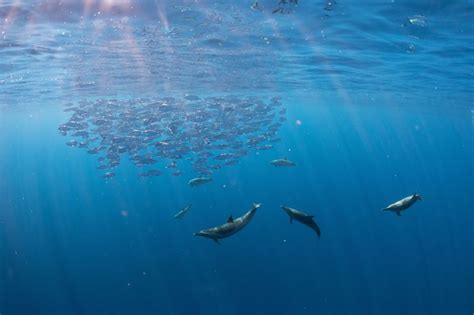 How A Job Post Can Help A Ceo Search Matt Venning Posted On The Topic