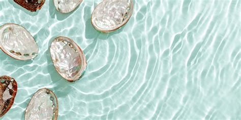 색깔 근접 촬영 조개껍질 청록색 잔물결 바닷물 햇빛 복사 공간이 있는 배너 아름다움 자연 질감 조개껍데기 해양 생물 항해 스타일 최소한의 여름 미학 해변 라이프스타일