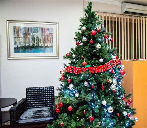 無料画像 クリスマスツリー クリスマスの飾り 木 モミ クリスマスオーナメント 装飾 自宅 スプルース 常緑 パイン