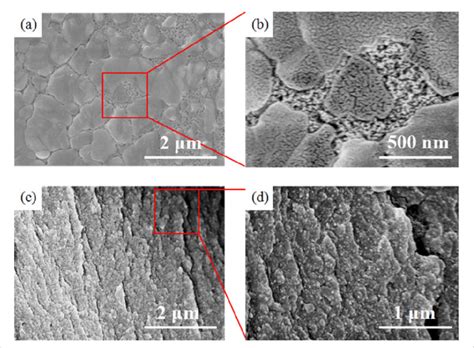 Sem Micrographs Of The Surface A And B And Cross Section C And