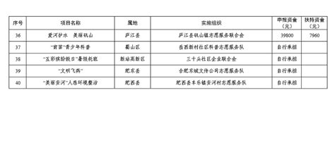 关于2023年合肥市新时代文明实践志愿服务项目扶持资金的公示 合肥文明网