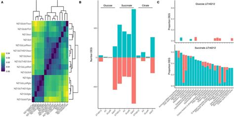 Tn6212 Alters Bacterial Host Transcriptional Responses A For Each Rna Download Scientific