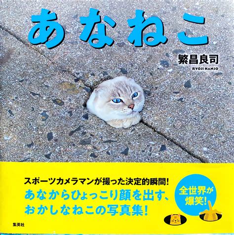 Ryoji Hanjo Ananeko 2020 Agents De La Mort Books