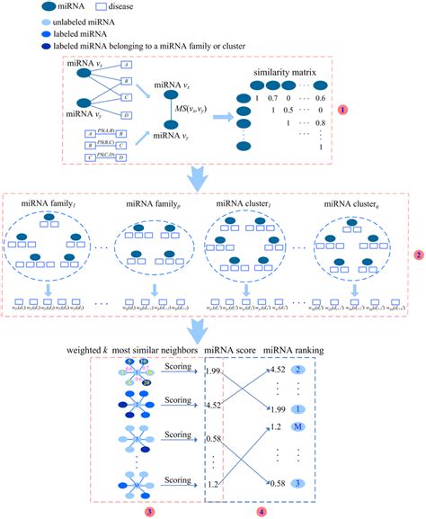 Process Of Predicting Disease D Related Candidates Step 1 Calculate Download Scientific