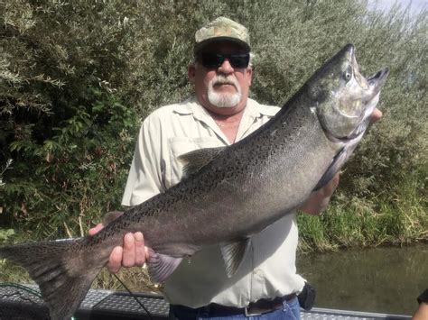 Sacramento River Lower Fish Report Redding Ca Shasta County