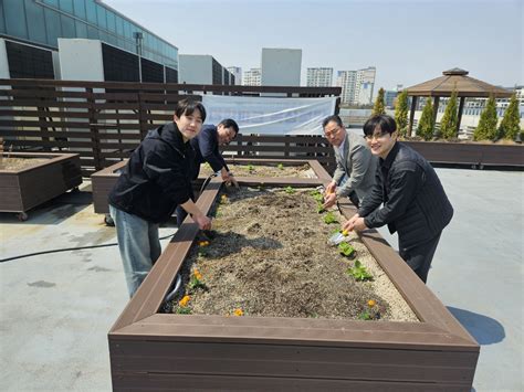 수원도시재단 더함파크 옥상에 위치한 화단에 봄 꽃을 심었습니다🌱🌼 곧 상추 등 쌈채소도 심을 예정이니 함께하실 텃밭공동체들