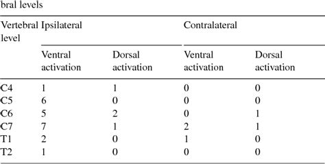 Table 1 From Ssfse Sequence Functional Mri Of The Human Cervical Spinal